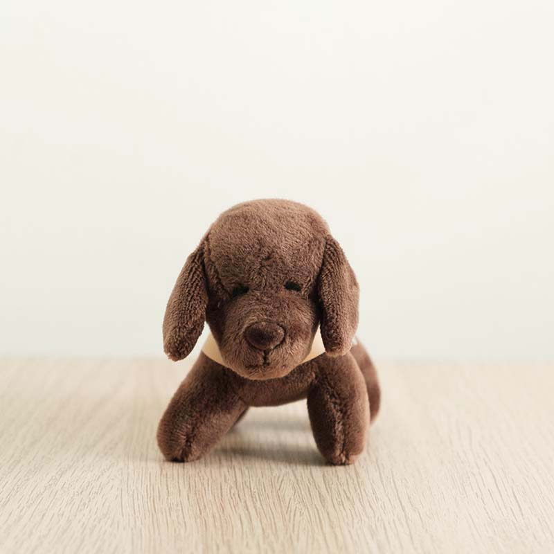 Shop - Guide Dogs Singapore Ltd (GDS)
