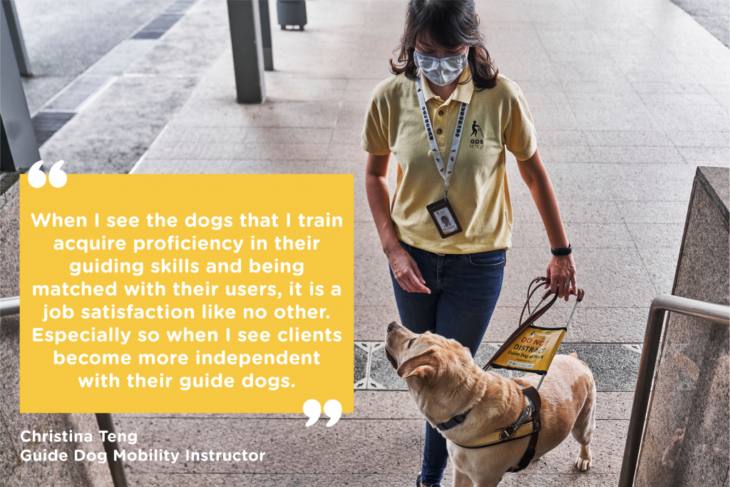 Training the Next Generation of Guide Dogs 2022