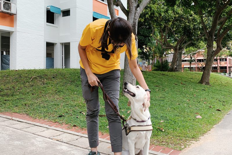 Home - Guide Dogs Singapore Ltd (GDS)