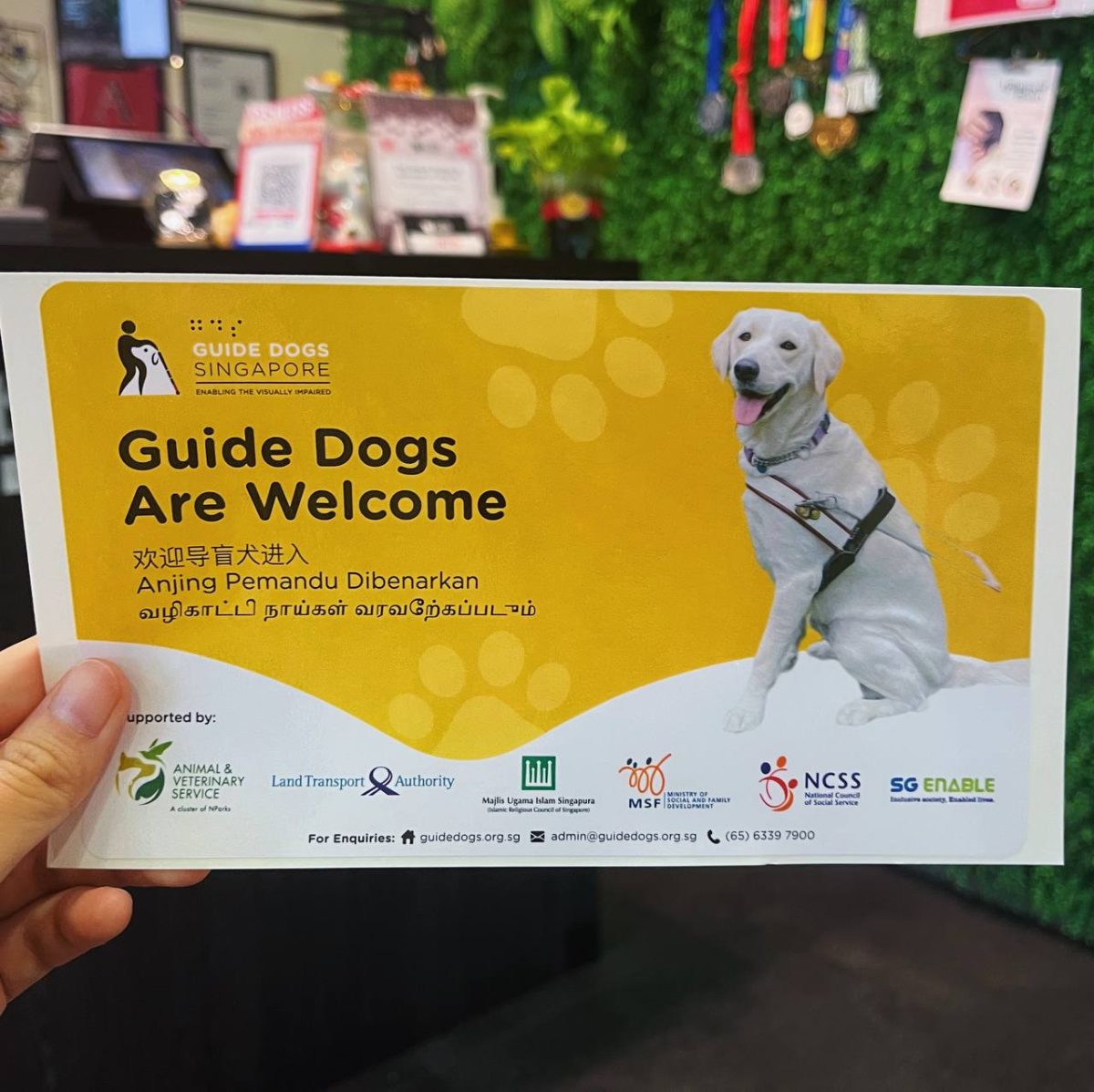 Guide Dog Friendly Establishments - Guide Dogs Singapore Ltd (GDS)