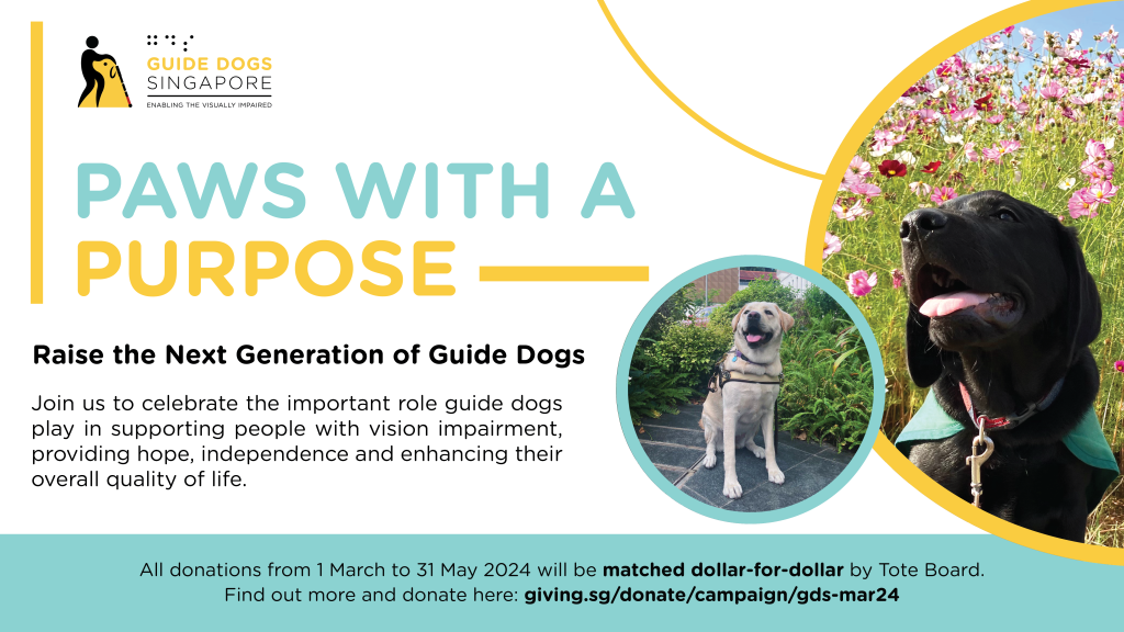 Paws With a Purpose 2024